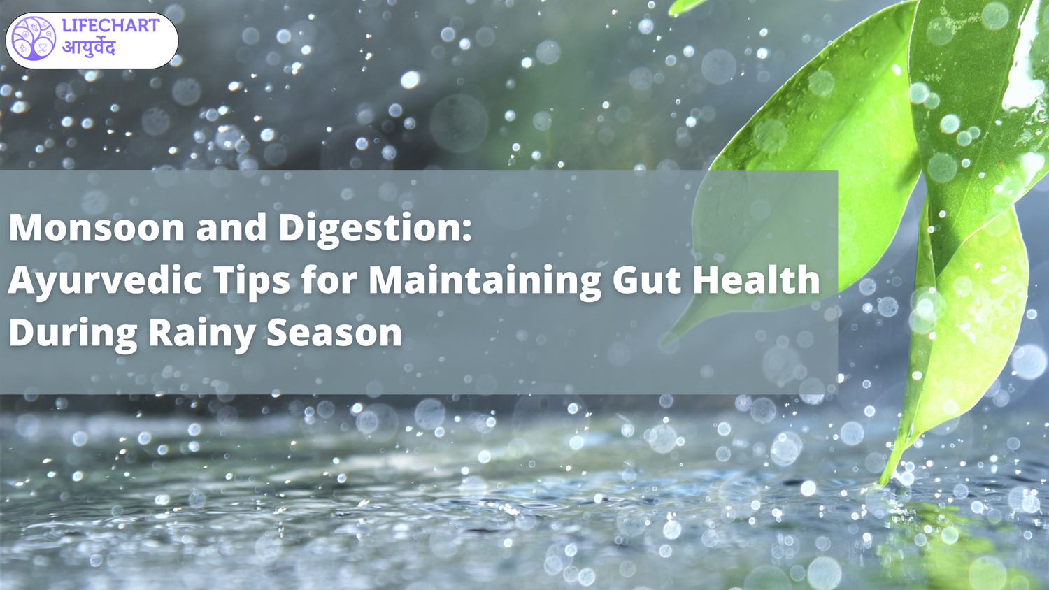 Monsoon and Digestion Ayurvedic Tips for Maintaining Gut Health During ...
